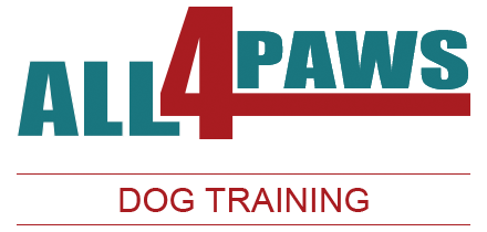 Crating Your Dog | ALL 4 PAWS